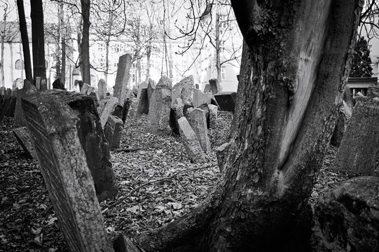 Shoa Bilder – Durchsuchen 125 Archivfotos, Vektorgrafiken und Videos ...