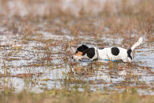Trinking bilder – Bläddra bland 95 stockfoton, vektorer och videor ...