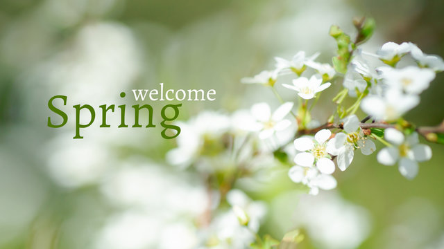 Welcome Spring Facebook Cover