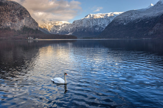 รูปภาพHallstattersee – เลือกดูภาพถ่ายสต็อก เวกเตอร์ และวิดีโอ1,562 ...