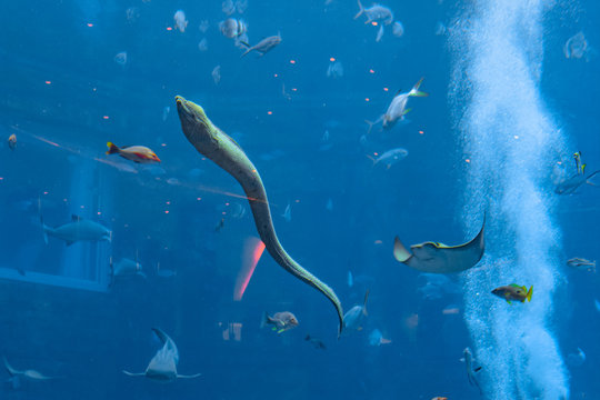 NEJLEPŠÍ (CELKEM 918) OBRÁZKY, FOTKY A VEKTOROVÉ GRAFIKY VE SLUŽBĚ ...