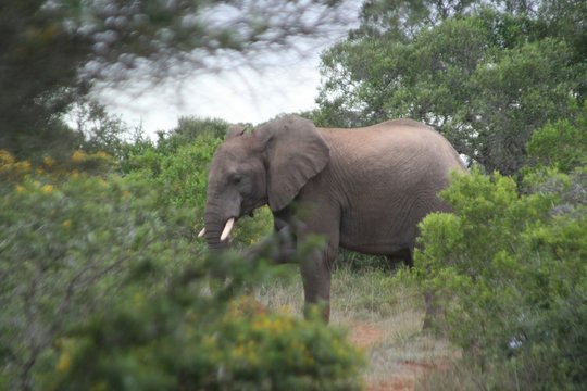 รูปภาพHauer – เลือกดูภาพถ่ายสต็อก เวกเตอร์ และวิดีโอ6,146 | Adobe Stock