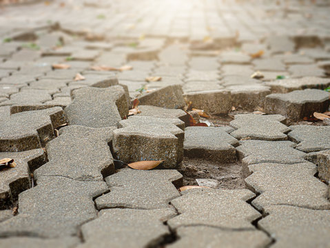 Stumble Images – Browse 5,289 Stock Photos, Vectors, and Video | Adobe ...