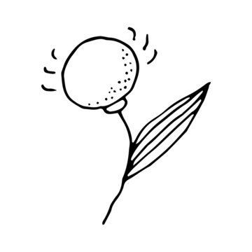 "Black Outlines" Billeder – Gennemse 298 stockfotos, vektorer og videoer | Adobe Stock