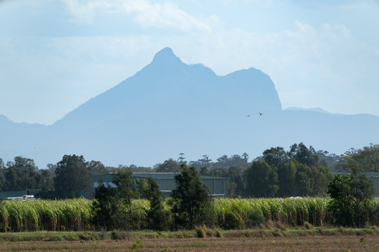 "Mt Warning" Images – Browse 128 Stock Photos, Vectors, and Video ...