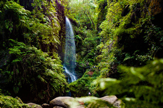 Bachstein Bilder – Durchsuchen 435,177 Archivfotos, Vektorgrafiken und ...