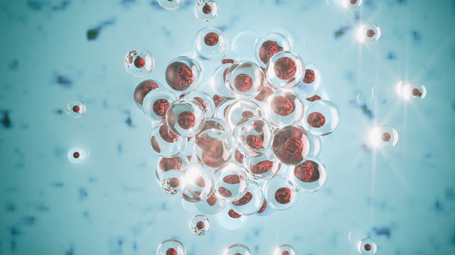 "Corona Radiata" Images – Browse 60 Stock Photos, Vectors, and Video ...