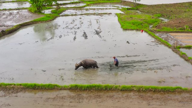 「Plougher」の写真素材 | 251件の無料イラスト画像 | Adobe Stock