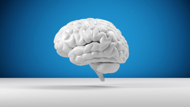 「Intellekt」の画像 - 1,077 件の Stock 写真、ベクターおよびビデオ | Adobe Stock