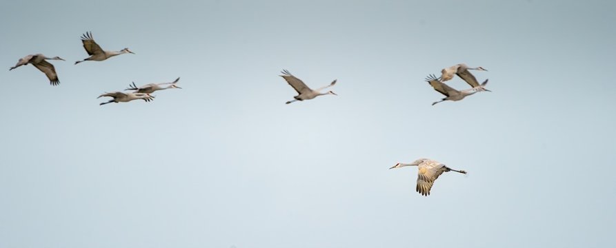 Schnacke Bilder – Durchsuchen 6,409 Archivfotos, Vektorgrafiken und ...