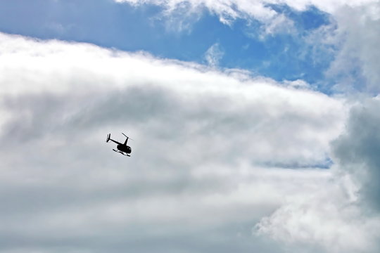 Mastgans Bilder – Durchsuchen 482 Archivfotos, Vektorgrafiken und ...