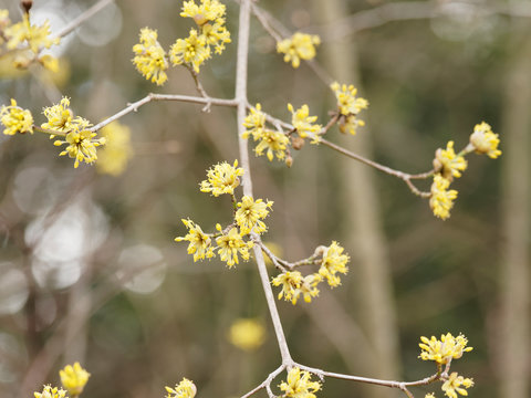 Getreideriegel Bilder – Durchsuchen 417 Archivfotos, Vektorgrafiken und ...