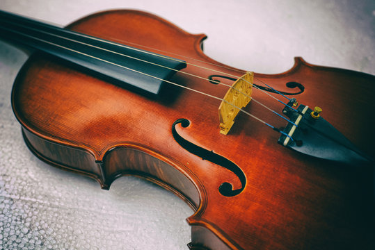 Viol 이미지 – 찾아보기 3,458 스톡 사진, 벡터 및 비디오 | Adobe Stock