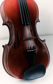 รูปภาพViol – เลือกดูภาพถ่ายสต็อก เวกเตอร์ และวิดีโอ3,489 | Adobe Stock