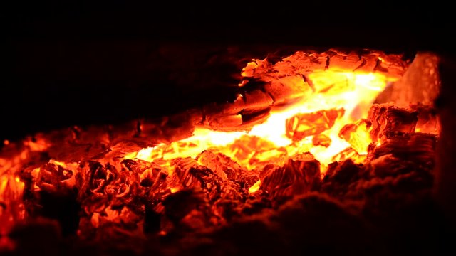 Candent Images – Browse 81,537 Stock Photos, Vectors, and Video | Adobe ...