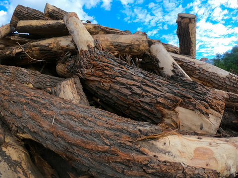 "Destroyed Nature" Images – Browse 24 Stock Photos, Vectors, and Video ...