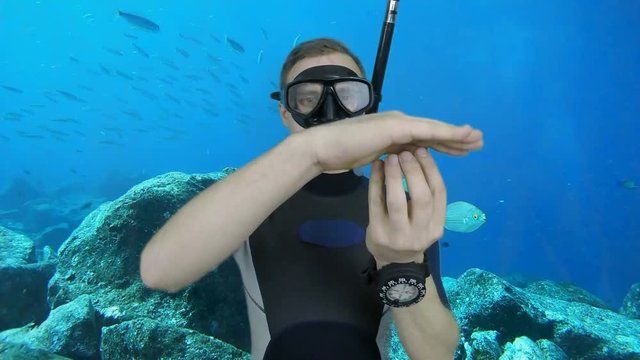 รูปภาพDivemaster – เลือกดูภาพถ่ายสต็อก เวกเตอร์ และวิดีโอ486 | Adobe Stock