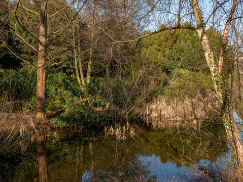 Refleksion Images – Browse 15 Stock Photos, Vectors, and Video | Adobe ...