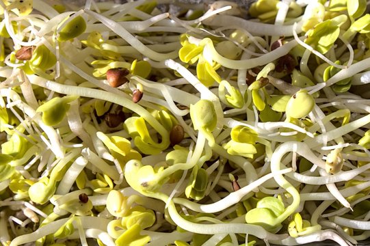 รูปภาพKeimen – เลือกดูภาพถ่ายสต็อก เวกเตอร์ และวิดีโอ4,800 | Adobe Stock