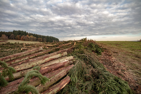 Befall Images – Browse 58,433 Stock Photos, Vectors, and Video | Adobe ...