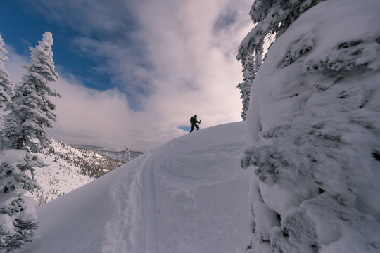 Backcountry Images – Browse 49,111 Stock Photos, Vectors, and Video ...