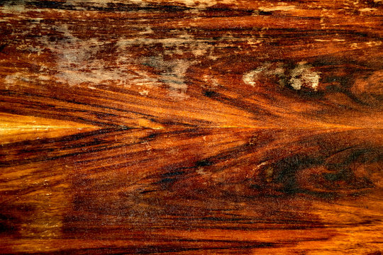 Partridge-Wood Bilder – Durchsuchen 310 Archivfotos, Vektorgrafiken und ...