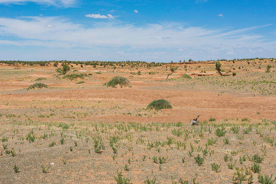 Saksaul Bilder – Durchsuchen 174 Archivfotos, Vektorgrafiken und Videos ...