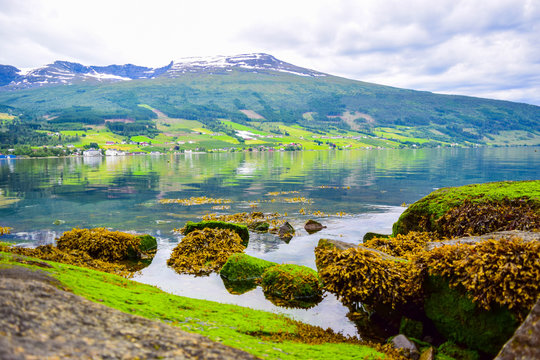 "Sogn Og Fjordane" Images – Browse 3,798 Stock Photos, Vectors, and ...