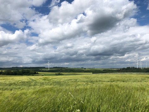 Biostrom Bilder – Durchsuchen 1,160 Archivfotos, Vektorgrafiken und ...