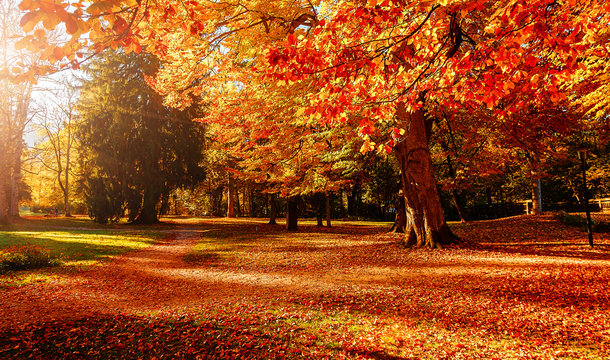 "Fall Landscape" Immagini - Sfoglia 3,305 foto, vettoriali e video ...