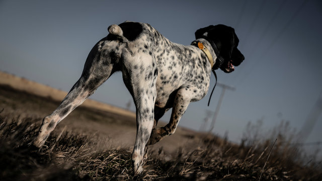 Gsp Images – Browse 1,280 Stock Photos, Vectors, and Video | Adobe Stock