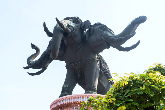 รูปภาพAiravata – เลือกดูภาพถ่ายสต็อก เวกเตอร์ และวิดีโอ204 | Adobe Stock