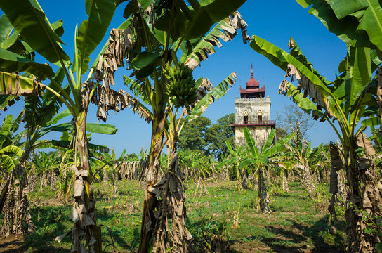 Bagyidaw Images – Browse 40 Stock Photos, Vectors, and Video | Adobe Stock