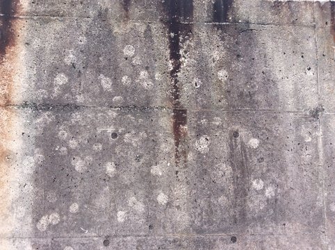 Akemi Kodama photos, images, assets | Adobe Stock