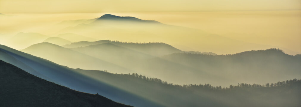 Forenoon Images – Browse 9,697,932 Stock Photos, Vectors, and Video ...