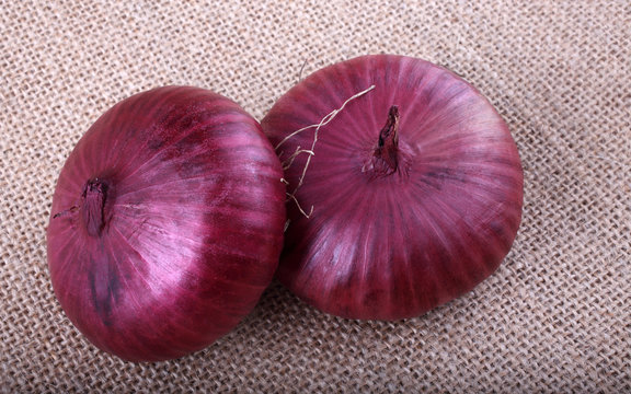 รูปภาพCipollini – เลือกดูภาพถ่ายสต็อก เวกเตอร์ และวิดีโอ164 | Adobe Stock