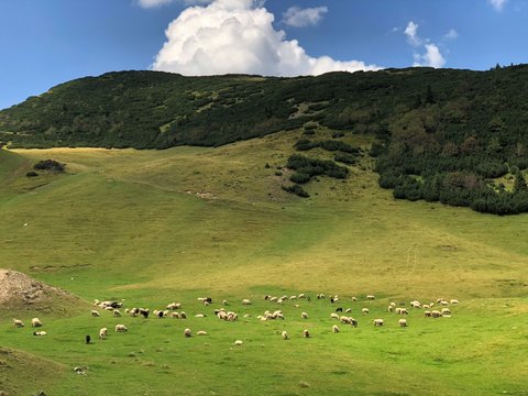 Surrounding Images – Browse 530,680 Stock Photos, Vectors, and Video ...