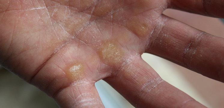 Calli Images – Browse 33,150 Stock Photos, Vectors, and Video | Adobe Stock