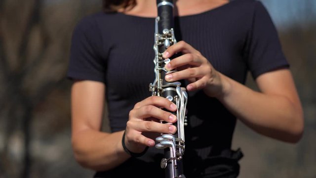 Clarinet Video Footage – Browse 927 HD Stock Video and Footage | Adobe ...