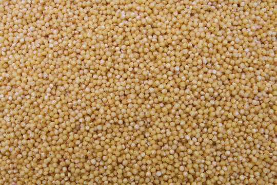 "Millet Background" Images – Browse 160 Stock Photos, Vectors, and ...