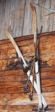 รูปภาพSchi – เลือกดูภาพถ่ายสต็อก เวกเตอร์ และวิดีโอ21,584 | Adobe Stock