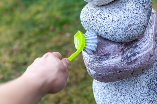 Keimfrei bilder – Bläddra bland 1,539 stockfoton, vektorer och videor ...