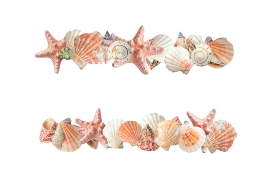 Sea Shell Clip Art Border