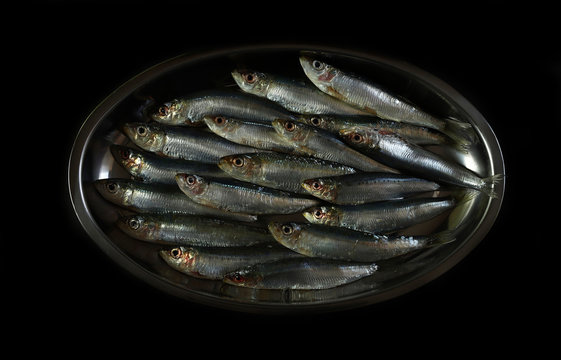 Spratto Images – Browse 3 Stock Photos, Vectors, and Video | Adobe Stock