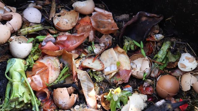 "Compost Bin" Images – Browse 93,378 Stock Photos, Vectors, and Video ...