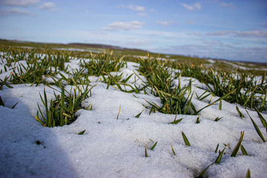「Dield」の写真素材 | 31件の無料イラスト画像 | Adobe Stock