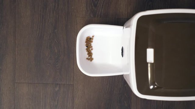 Triggered Images – Parcourir 159,238 le catalogue de photos, vecteurs ...