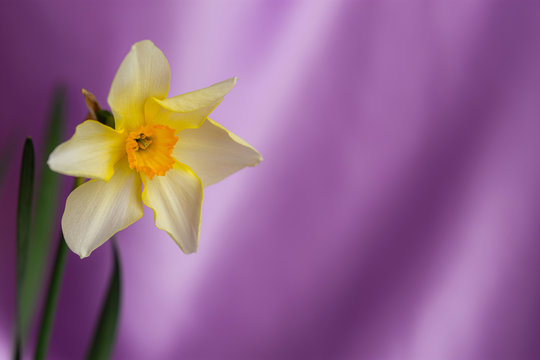 Easter-Holiday Images – Browse 192 Stock Photos, Vectors, and Video ...