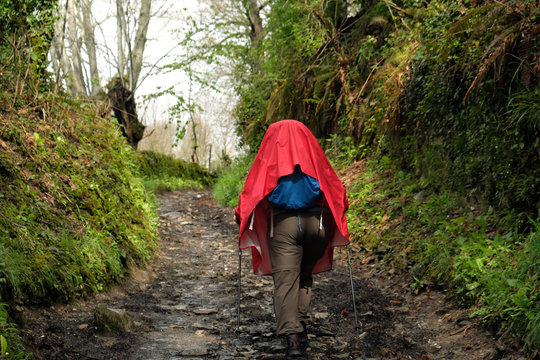 Imagens de Peregrinate – Explore Fotografias do Stock, Vetores e Vídeos ...