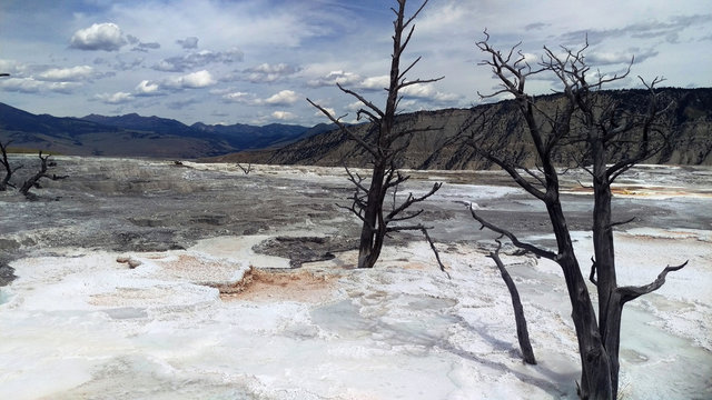 Gaiser Images – Browse 56 Stock Photos, Vectors, and Video | Adobe Stock